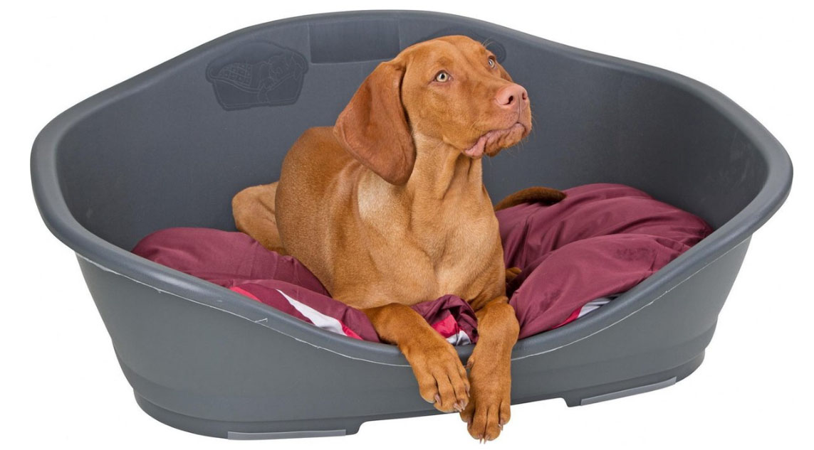 Top 7: Leuke en Goede Hondenmanden | 2021 Review